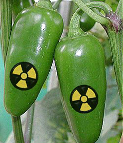 Jalapeño Pepper Component Hot Enough to Trigger Suicide in Prostate ...