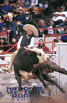 Mexican Rodeo Traces Noble Lineage of the West