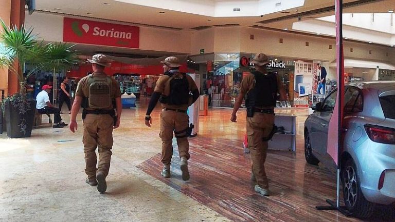 Puerto Vallarta Citizen Security Prioritizing Neighborhood Safety ...