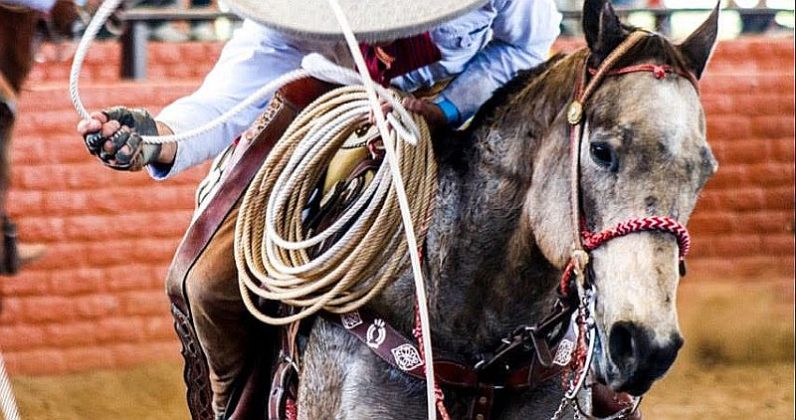 Charro Championship at Arena Vallarta, Jan 31-Feb 4 | Banderas News