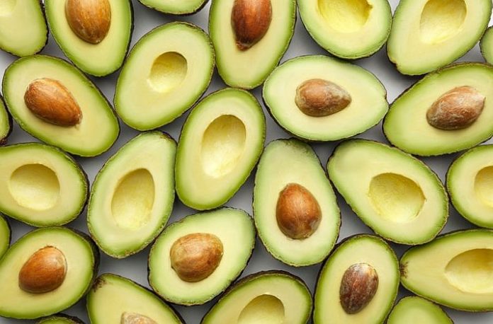 Avocados From Mexico Continue on Strong Growth Path | Banderas News